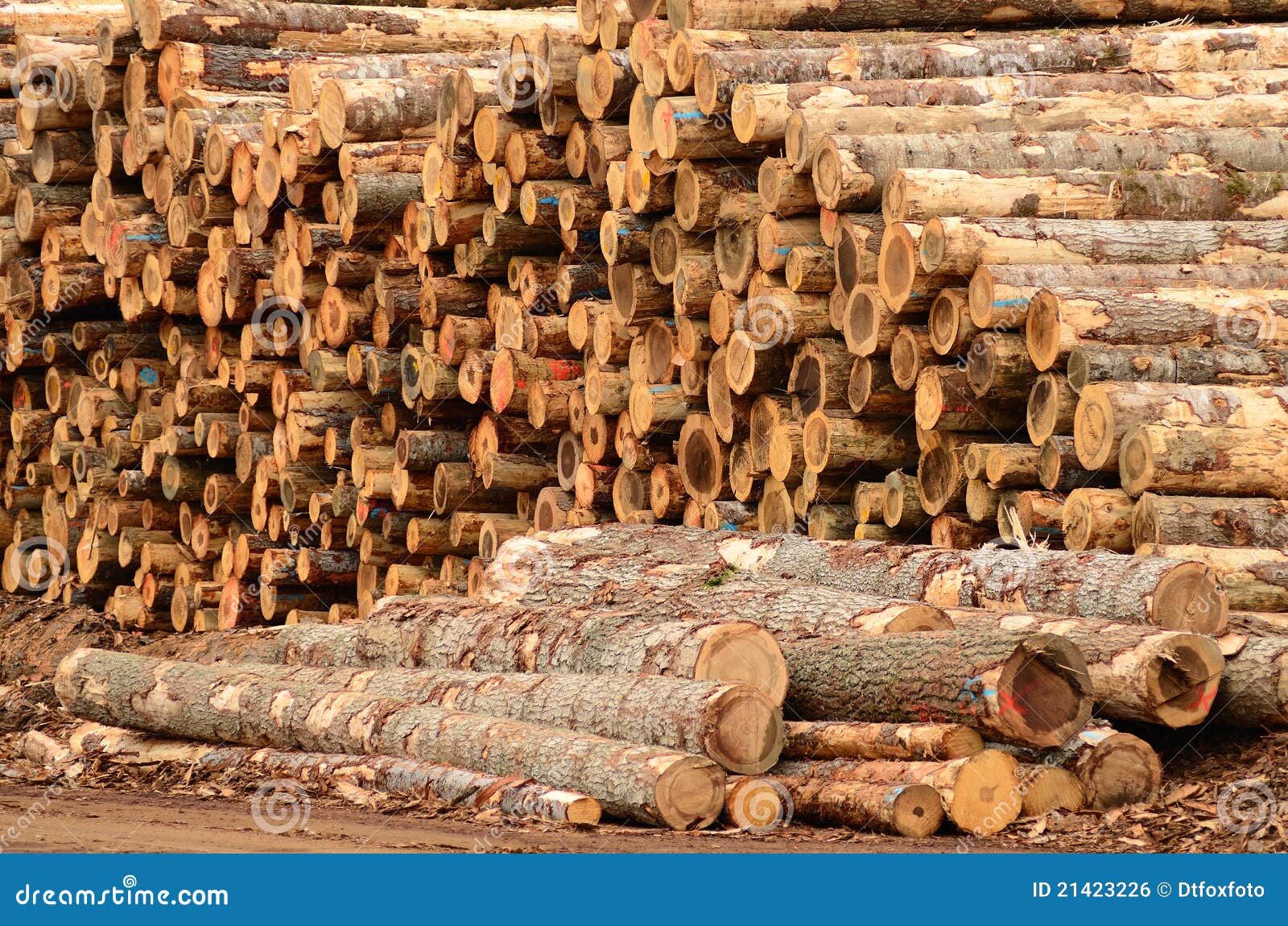 Log Yard Royalty Free Stock Image - Image: 21423226
