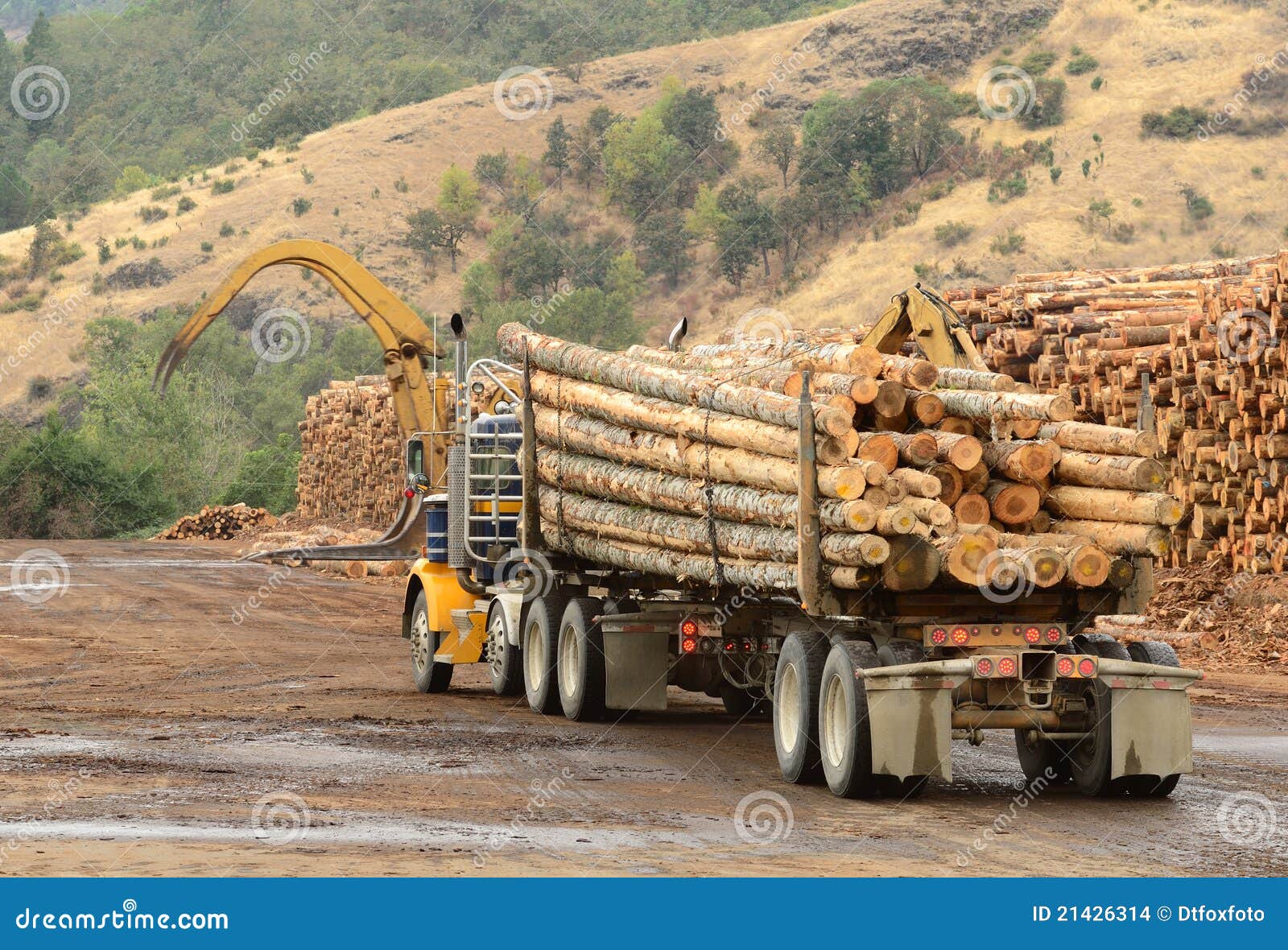 Log Yard stock photo. Image of vehicle, timber, moving - 21426314