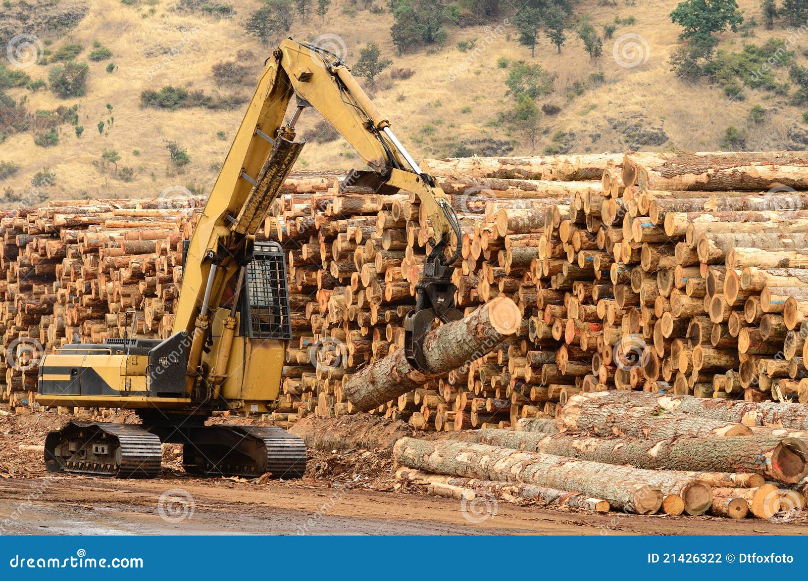 Log Yard stock photo. Image of moving, grab, crane, hauling - 21426322