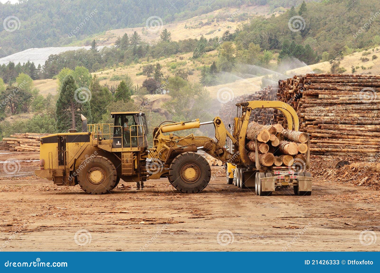 Log Yard stock image. Image of equipment, timber, loader - 21426333