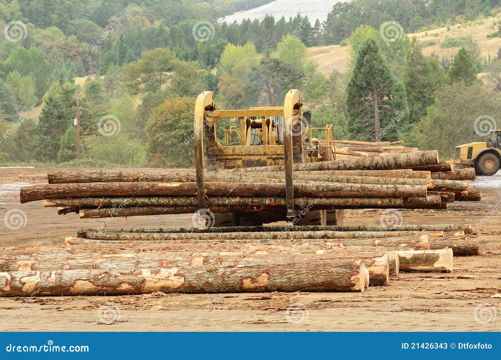 Log Yard stock image. Image of logging, trailer, crane - 21426343