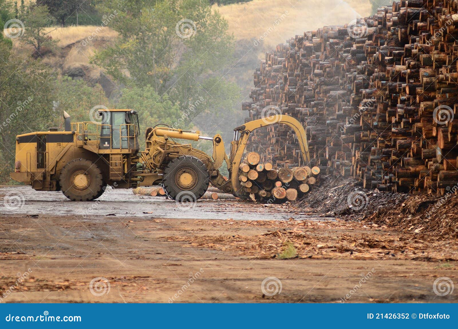 Log Yard stock photo. Image of mover, tractor, forestry - 21426352