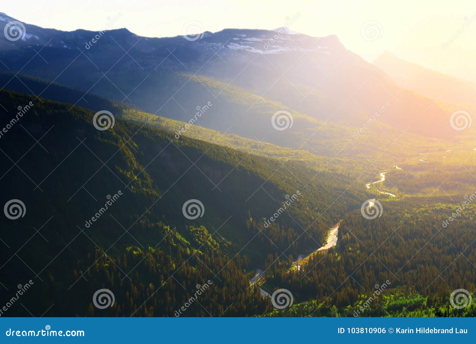 Logan Creek am Glacier Nationalpark Stockfoto - Bild von eingebürgert ...