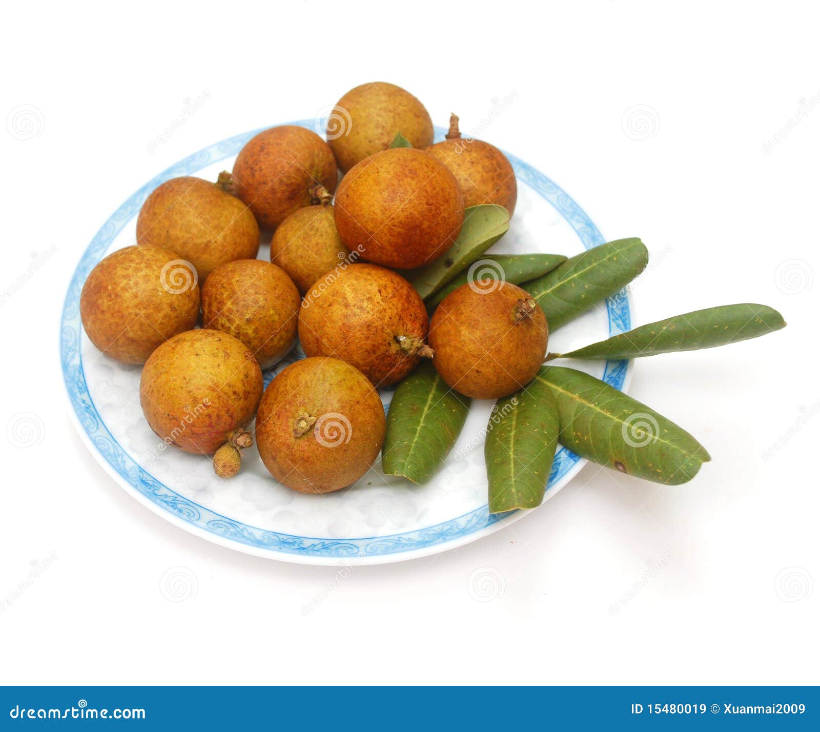 Logan fruit stock image. Image of brown, natural, white - 15480019