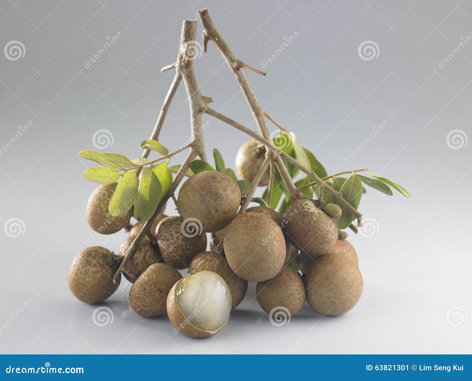Logan stock image. Image of plant, bunch, vitamin, fresh - 63821301