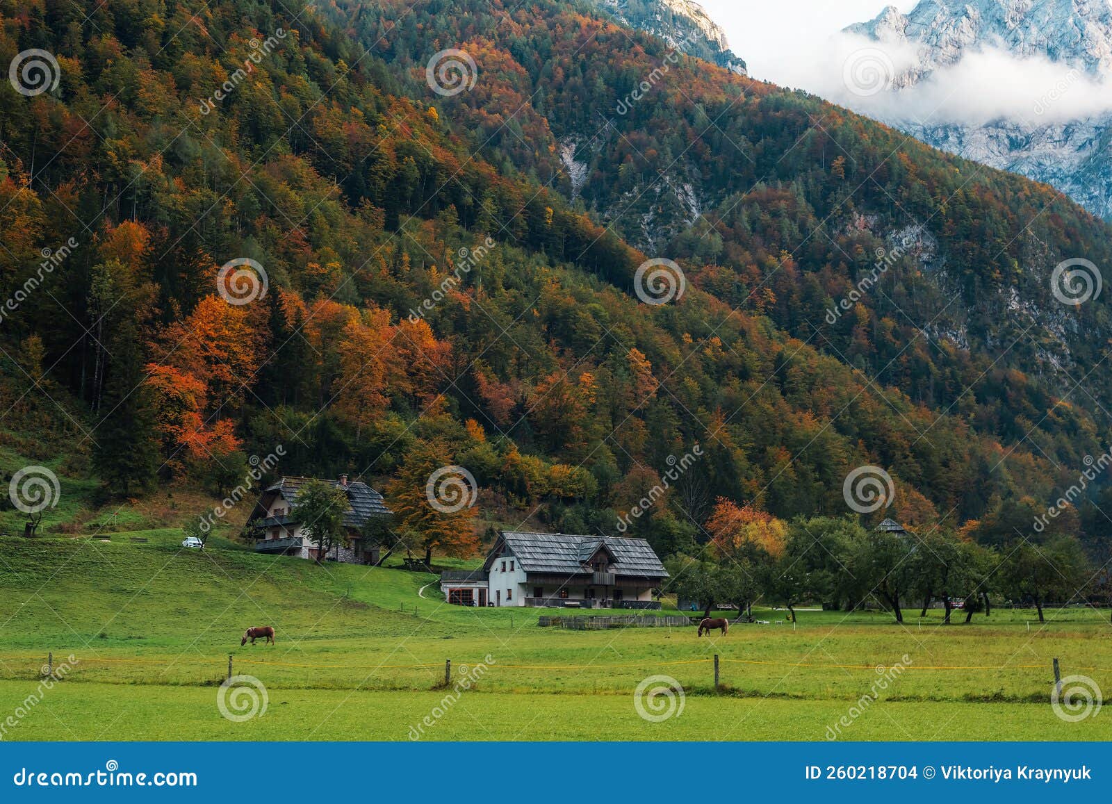 Logar-Tal Oder Logarska Dolina in Den Alpen Im Herbst Stockfoto - Bild ...