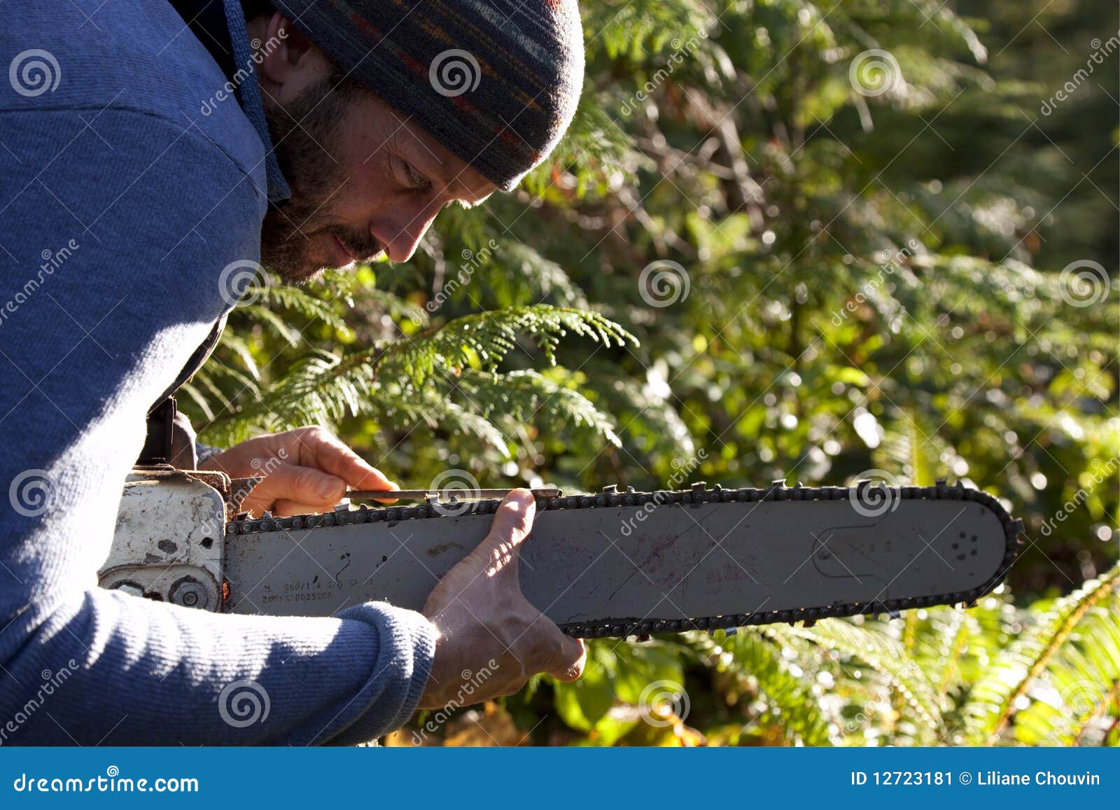 Logger stock image. Image of rough, person, lumberjack - 12723181