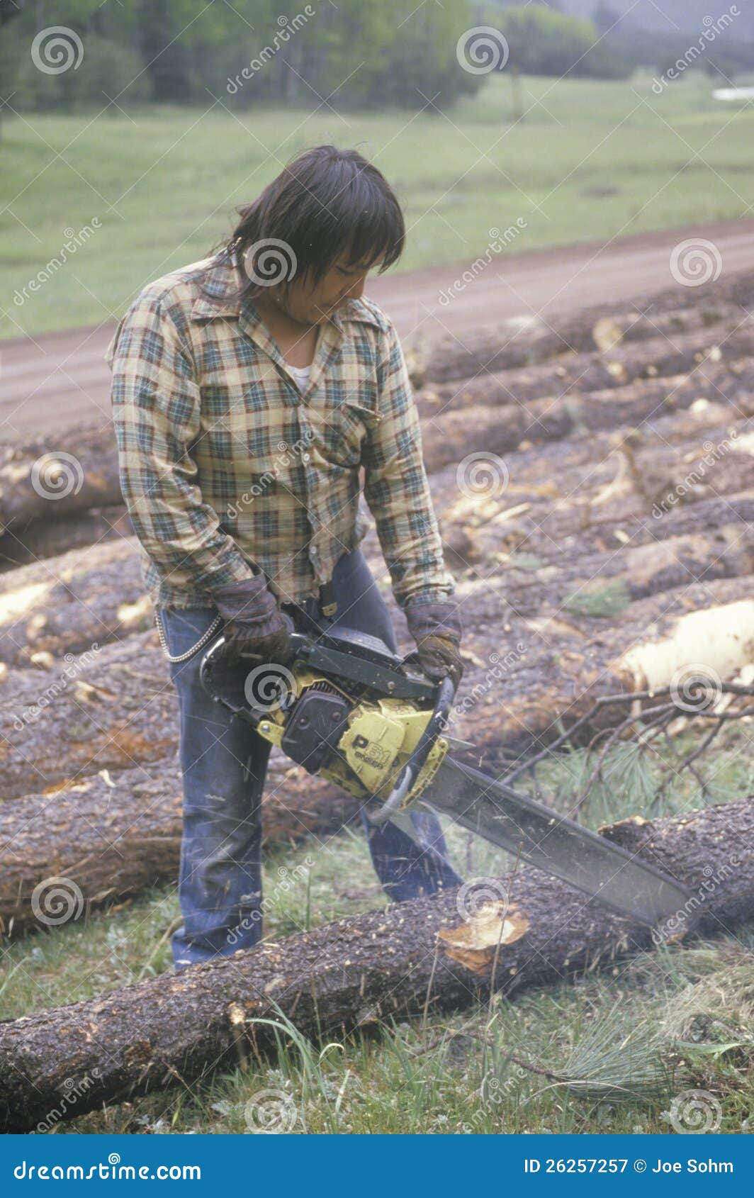A Logger Cutting a Felled Log Editorial Photography - Image of change ...
