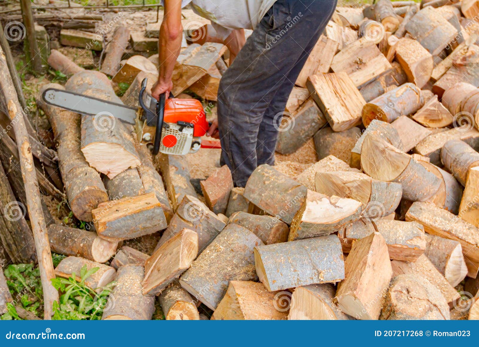 Logger is Cutting Firewood in the Yard with Chainsaw Stock Photo ...