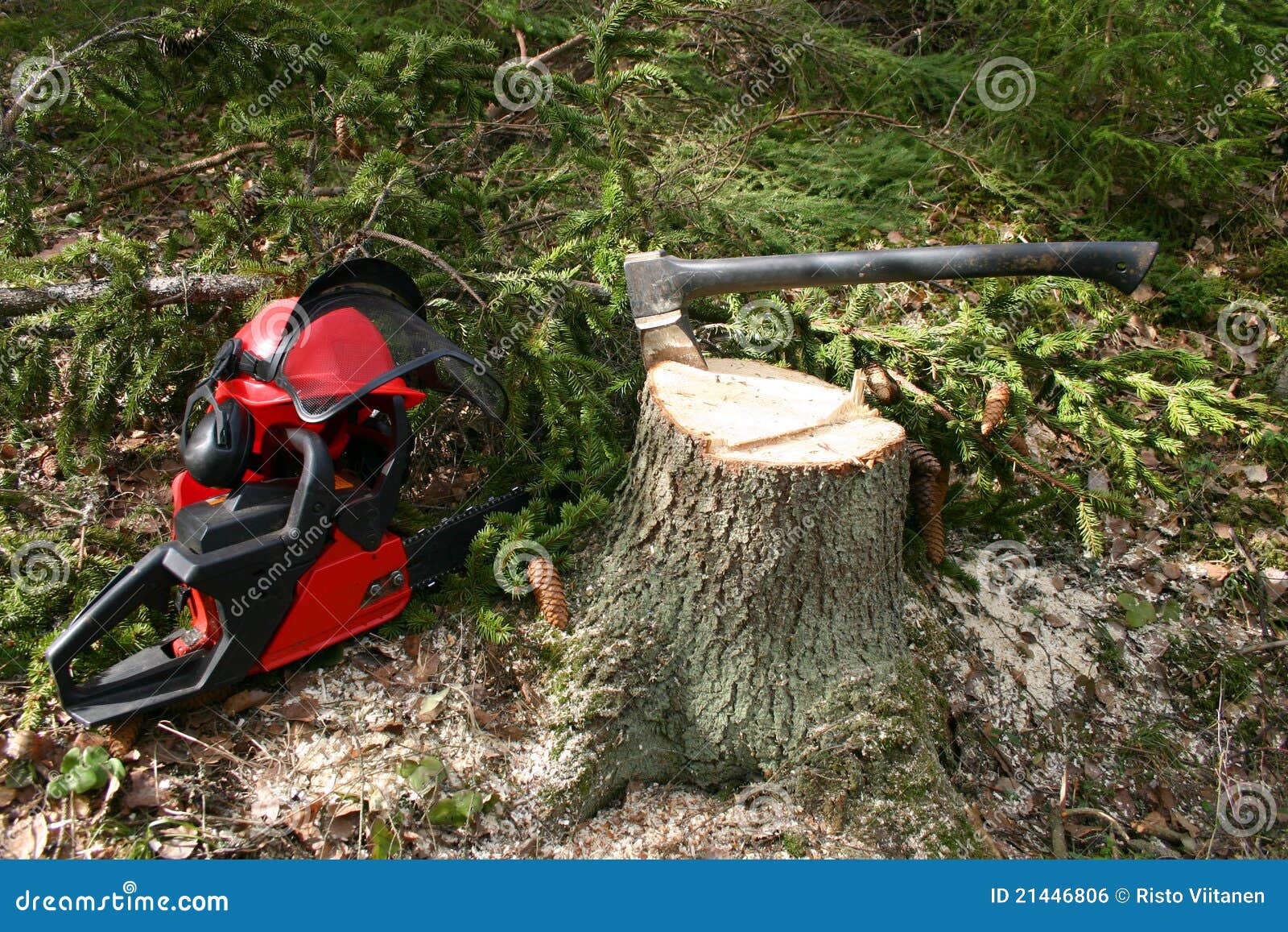 Logger equipment in forest stock photo. Image of helmet - 21446806