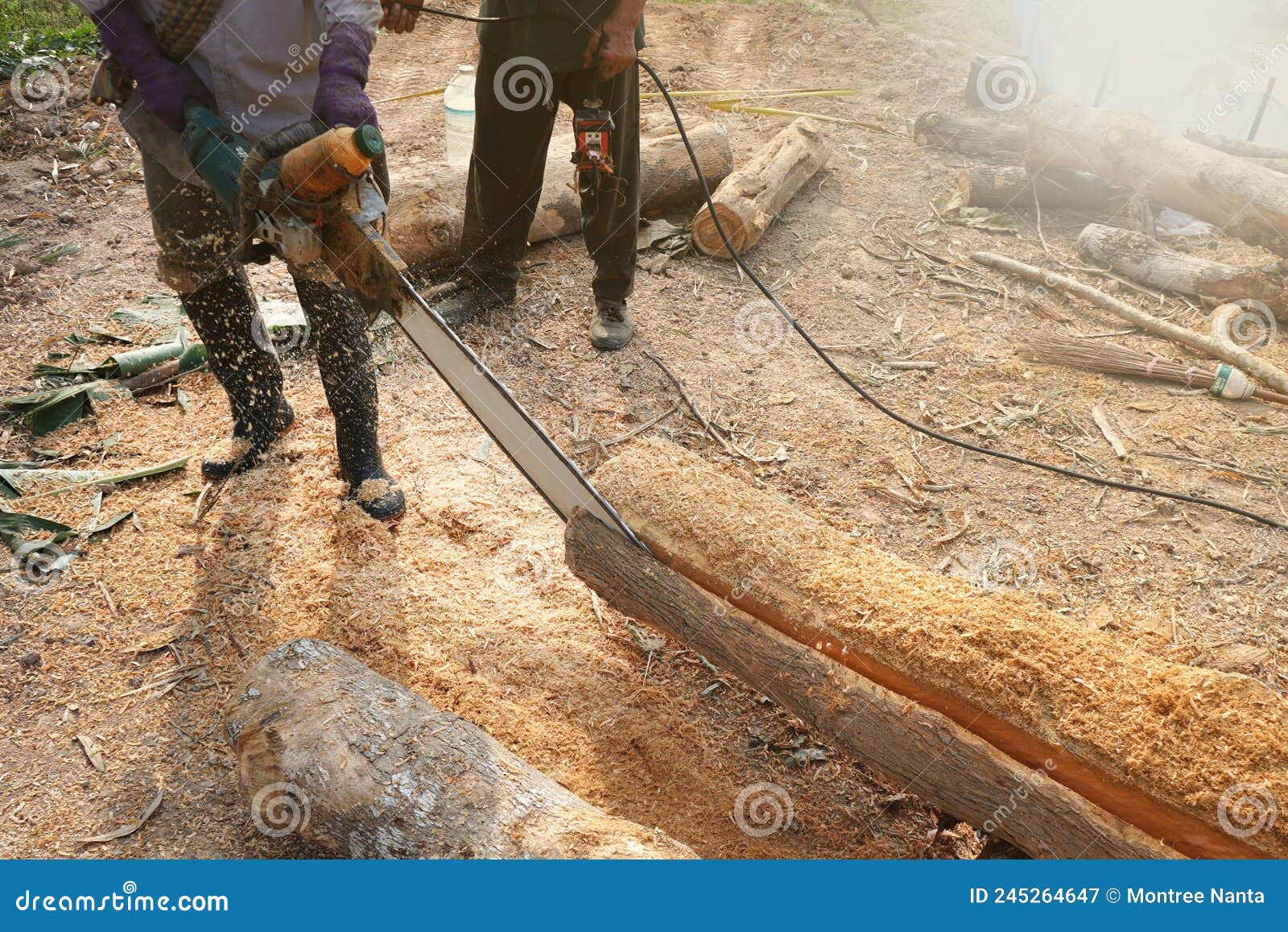A Lumberjack is Using a Chainsaw To Dissect a Log. Stock Image - Image ...