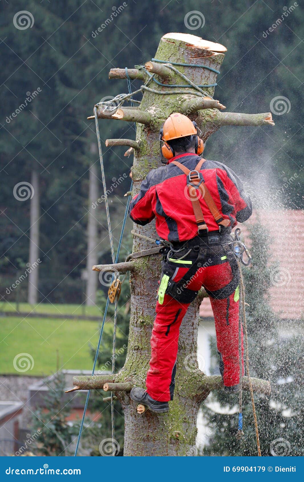 Logger at work editorial stock image. Image of safty - 69904179
