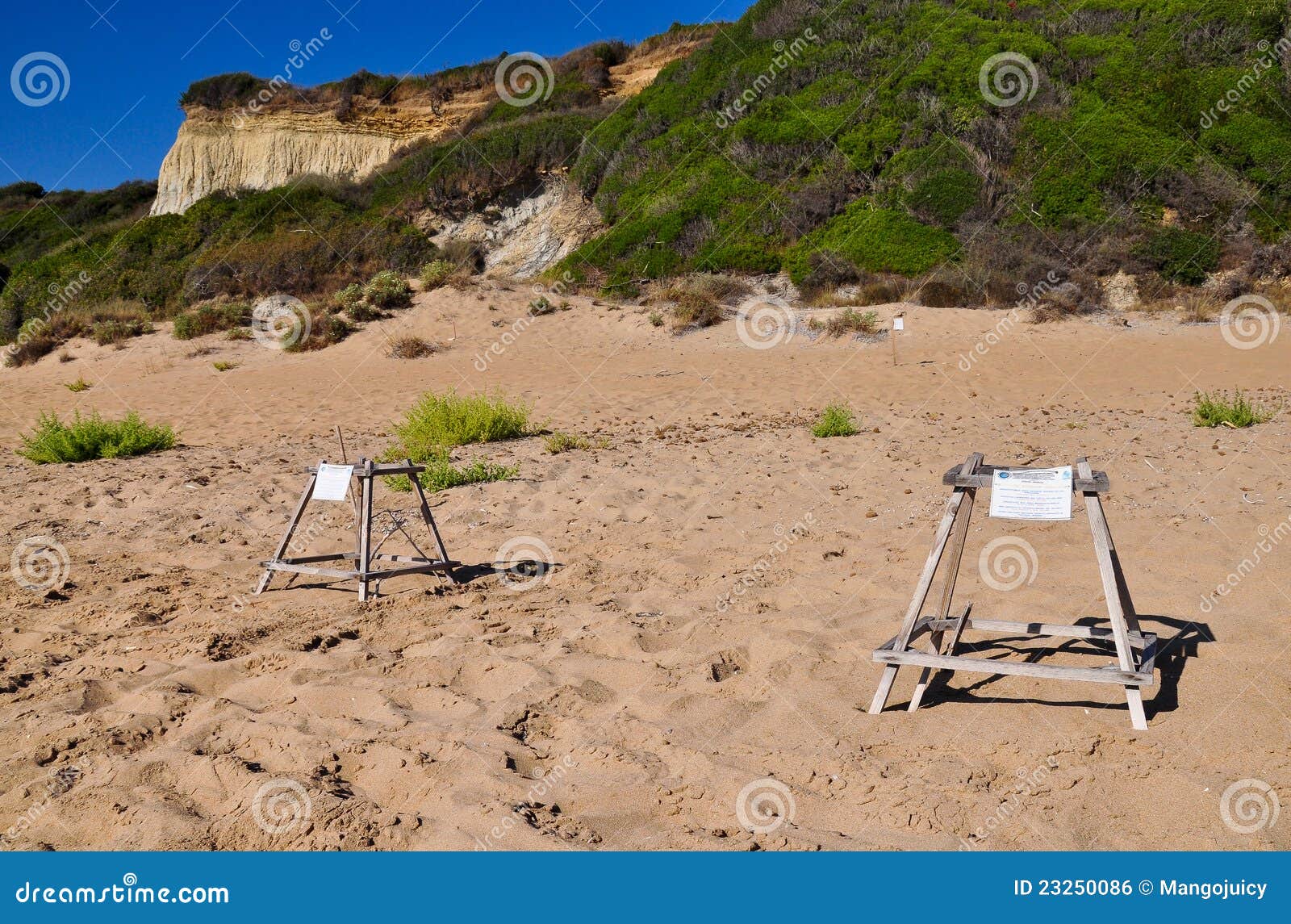 Loggerhead Sea Turtle Nesting Site Stock Photo - Image of coastal ...