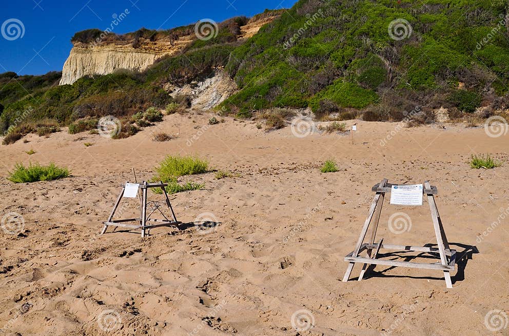 Loggerhead Sea Turtle Nesting Site Stock Photo - Image of coastal ...