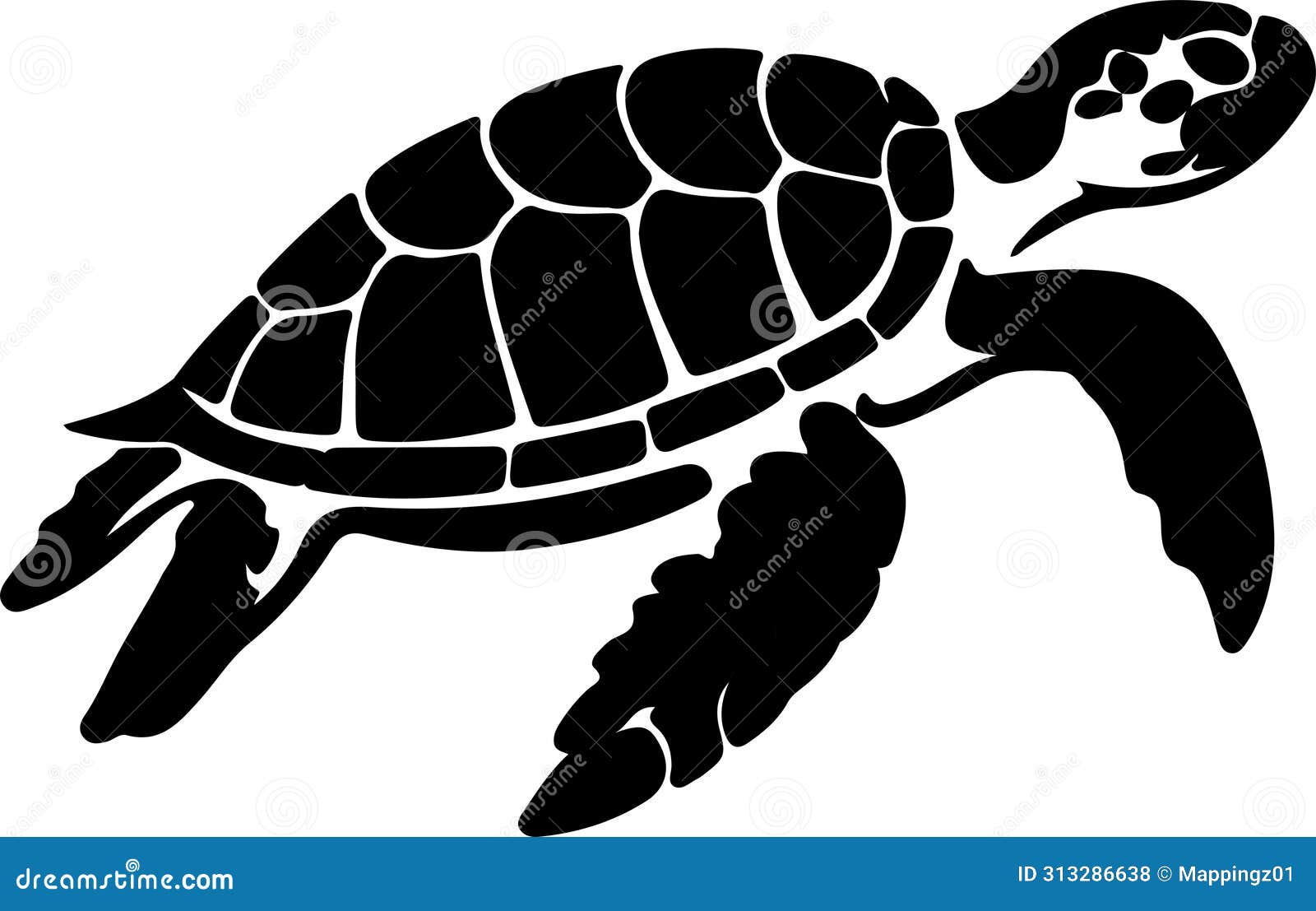 Loggerhead Sea Turtle Stock Photo | CartoonDealer.com #15563322