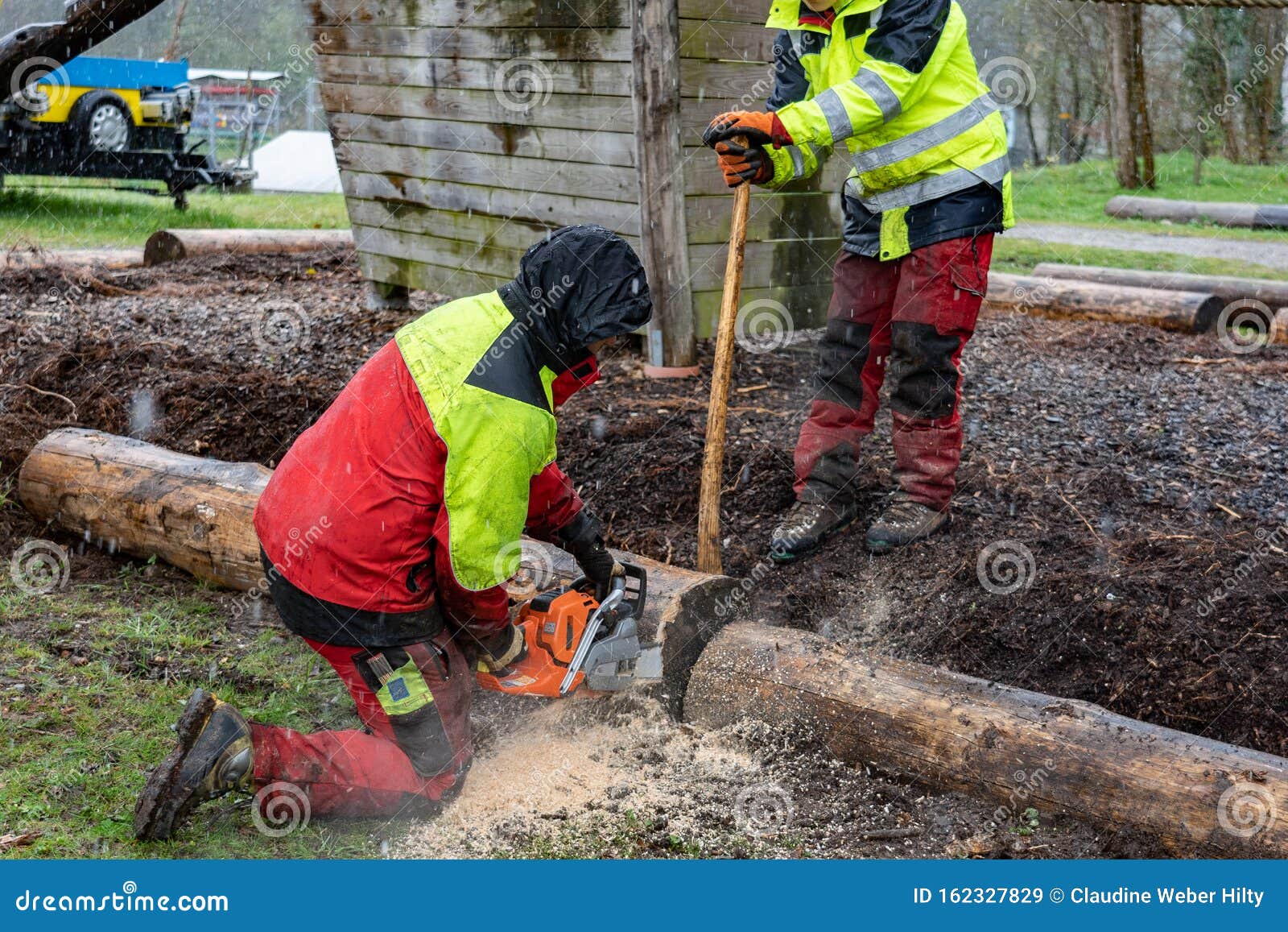 16,602 Cutting Tree Trunk Stock Photos - Free & Royalty-Free Stock ...
