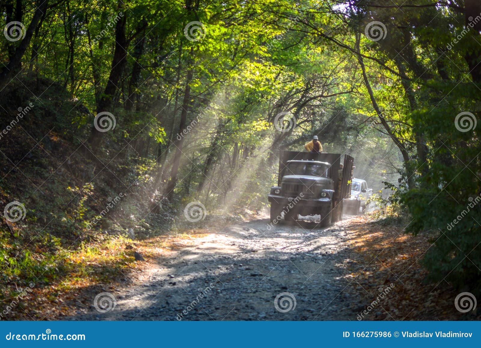 Logging Truck Going Down A Dusty Dirt Path Through A Forest Stock ...