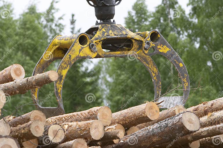 Logging stock image. Image of lumber, site, horizontal - 105179