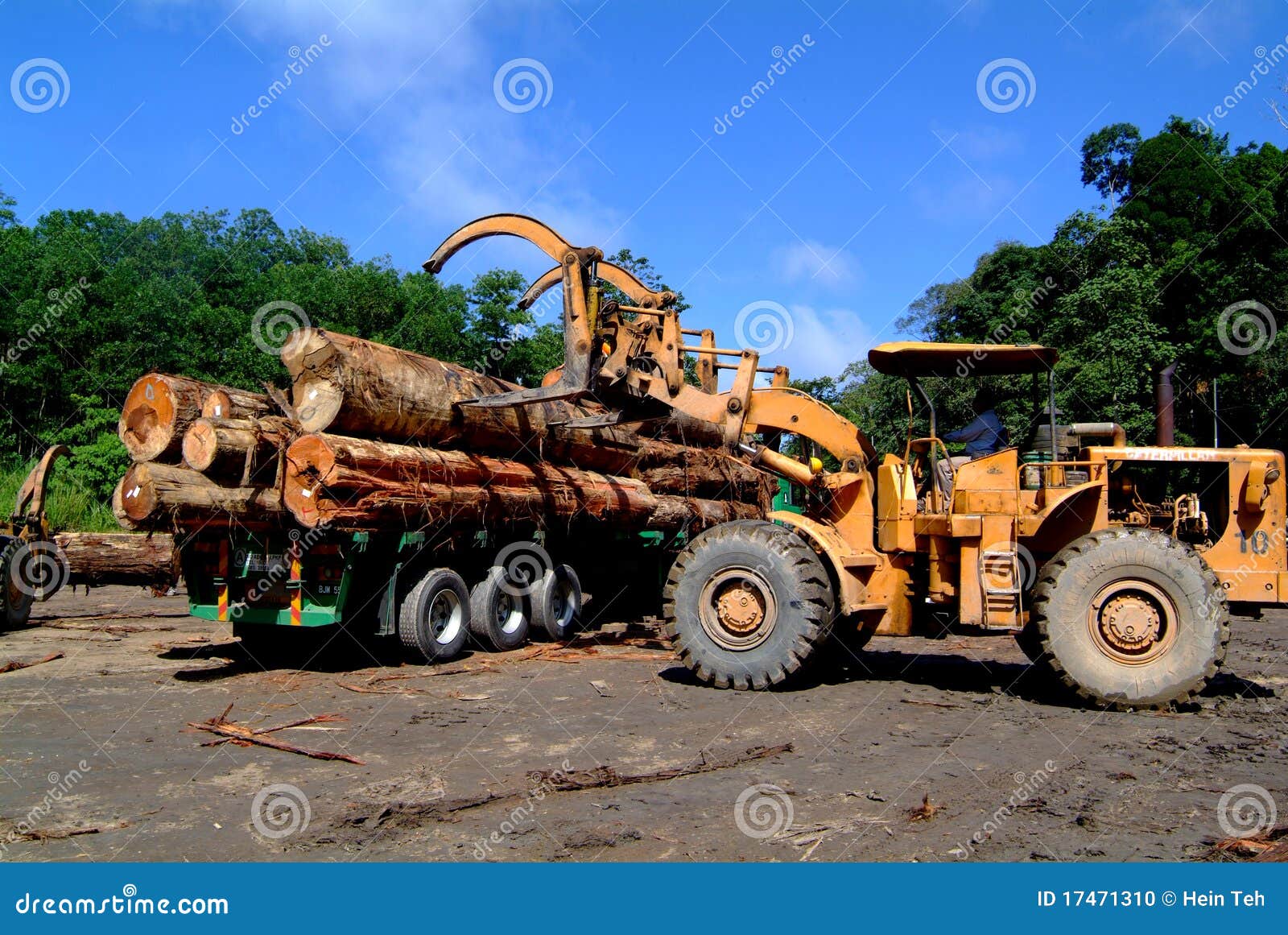 Logging stock photo. Image of crane, lumbering, building - 17471310