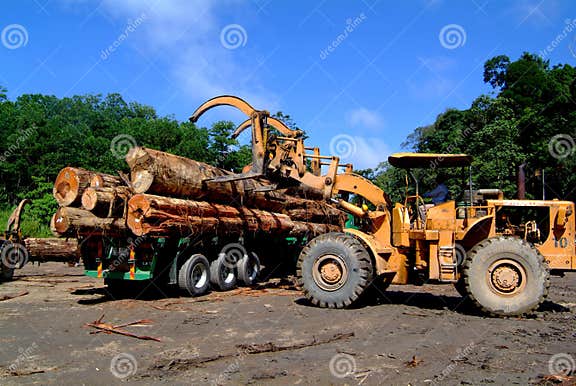 Logging stock photo. Image of crane, lumbering, building - 17471310