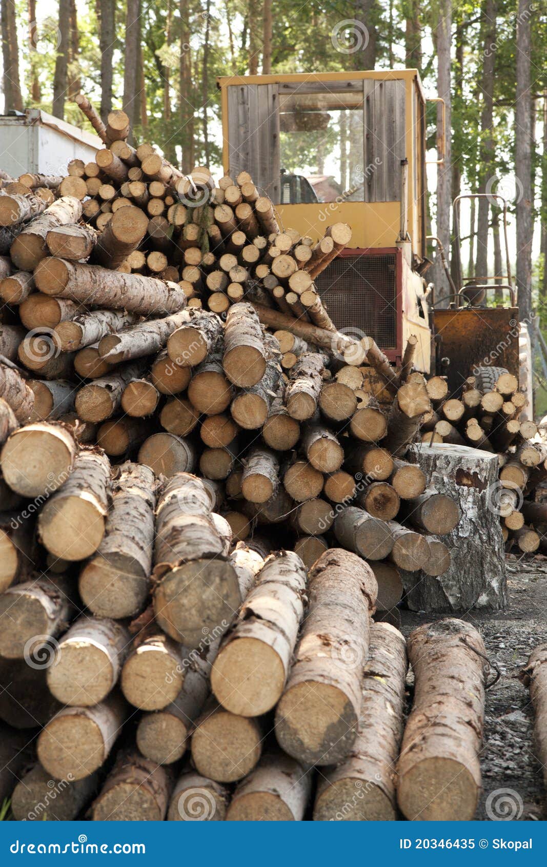 Logging stock image. Image of logging, industrial, extraction - 20346435