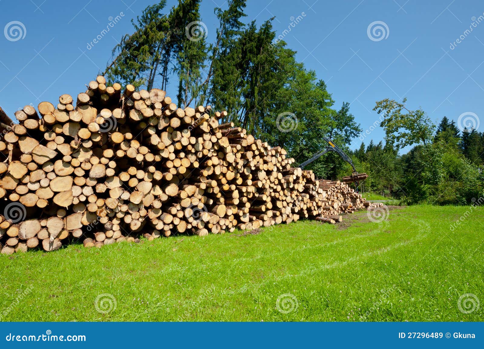 Logging stock image. Image of industry, bark, logger - 27296489