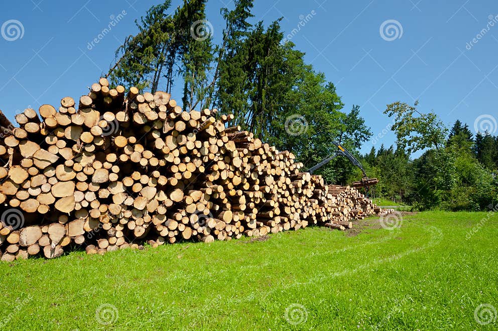 Logging stock image. Image of industry, bark, logger - 27296489