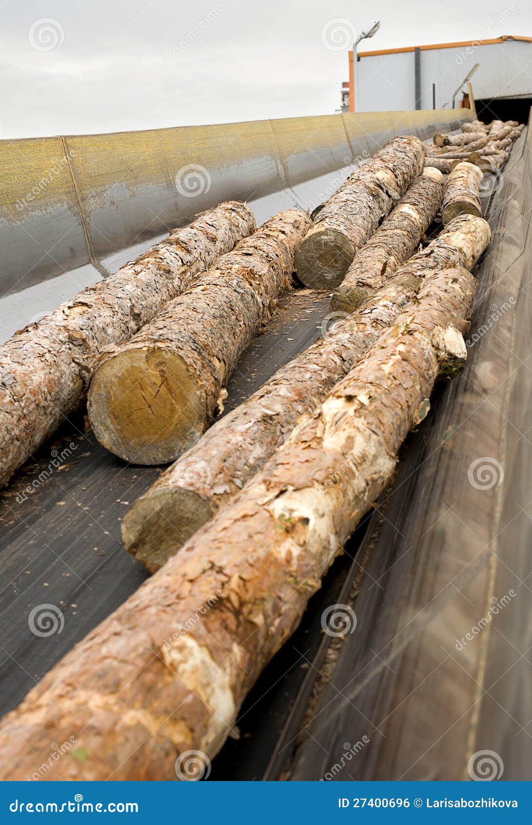 Logging stock photo. Image of barked, industrial, lumber - 27400696