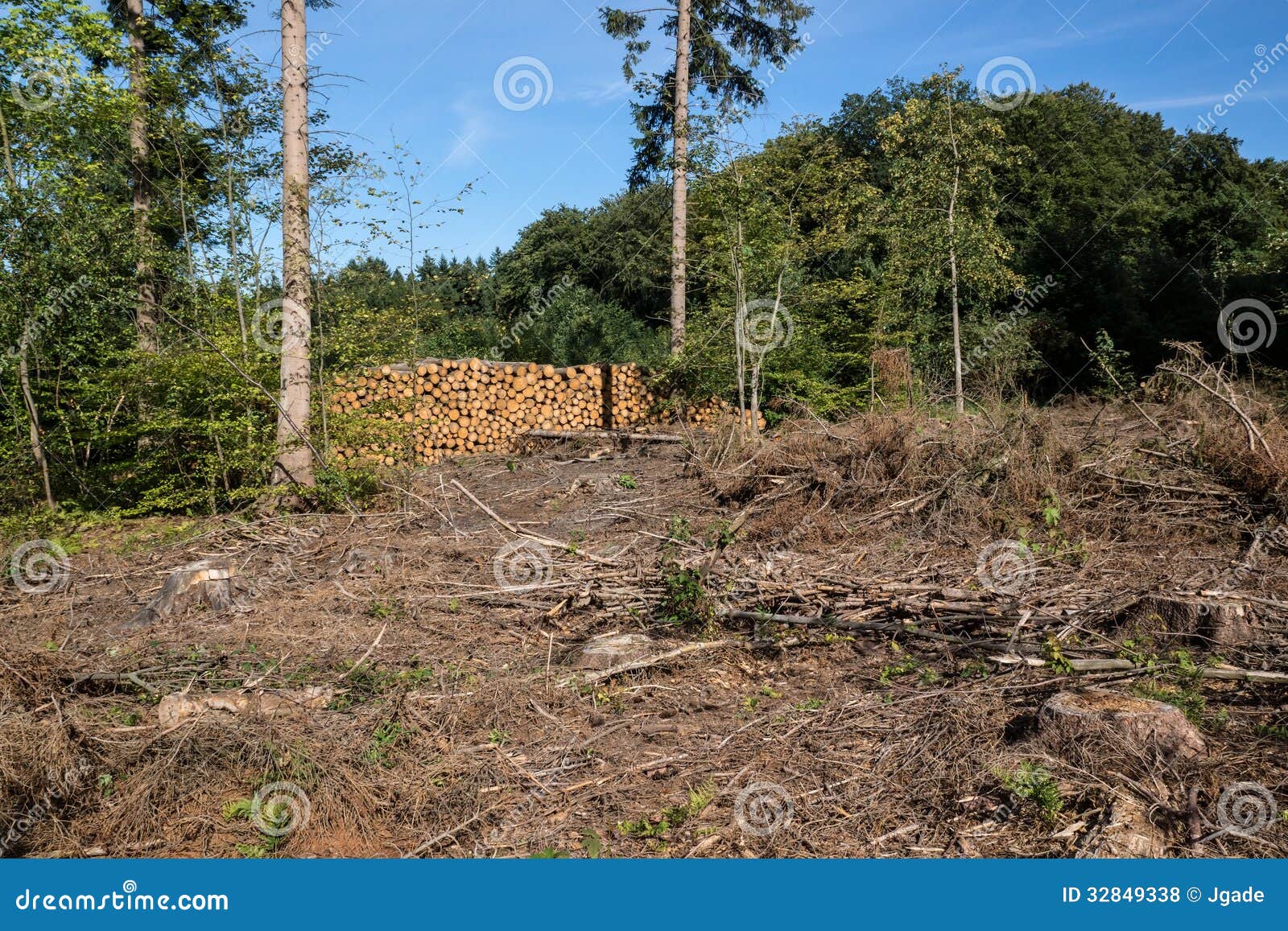 Logging area stock photo. Image of nature, wild, landscape - 32849338