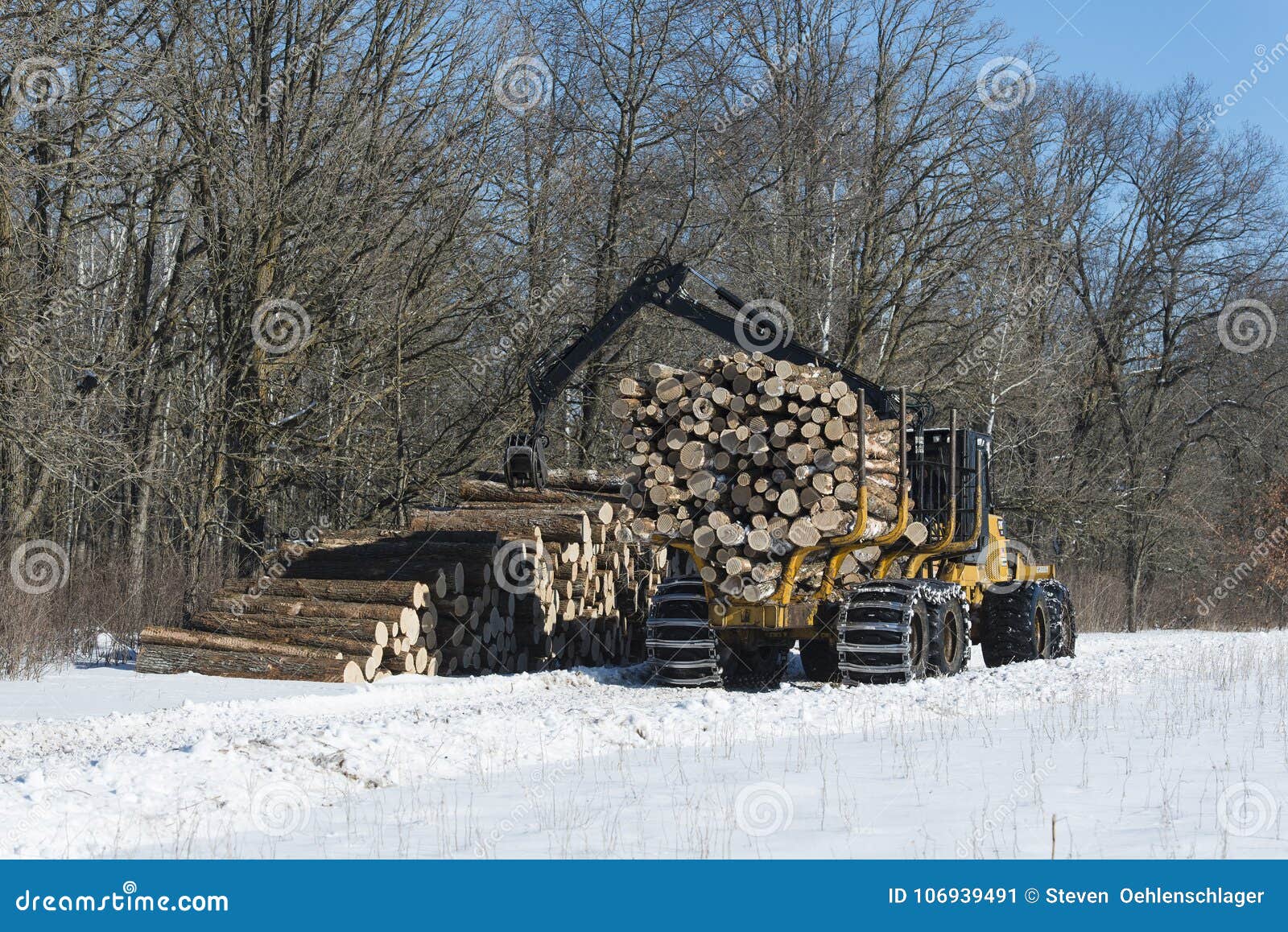 Logging in a Central Minnesota Forest Stock Image - Image of cold, logs ...