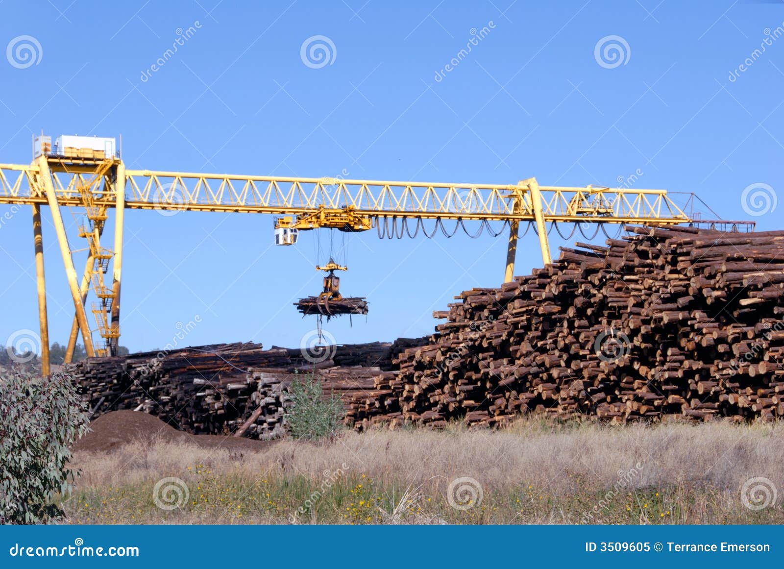Logging Crane stock image. Image of products, sawn, heavy - 3509605
