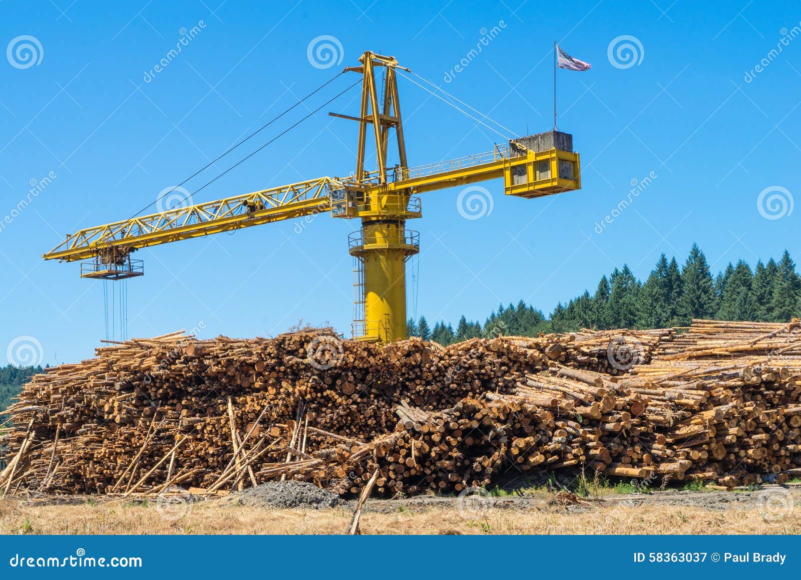 Logging Crane stock image. Image of resource, lumber - 58363037