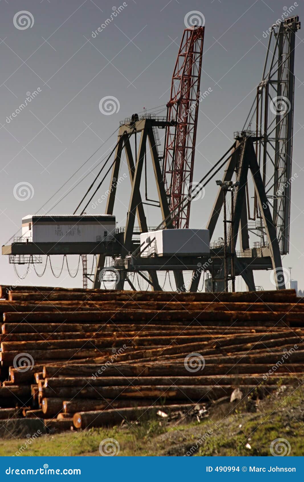 Logging cranes. stock photo. Image of environment, tall - 490994