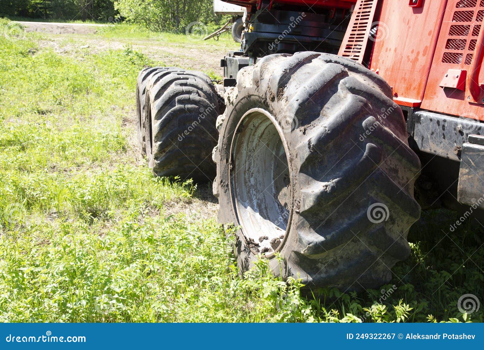 Logging Equipment.Harvester and Forwarder at the Logging Site Stock ...