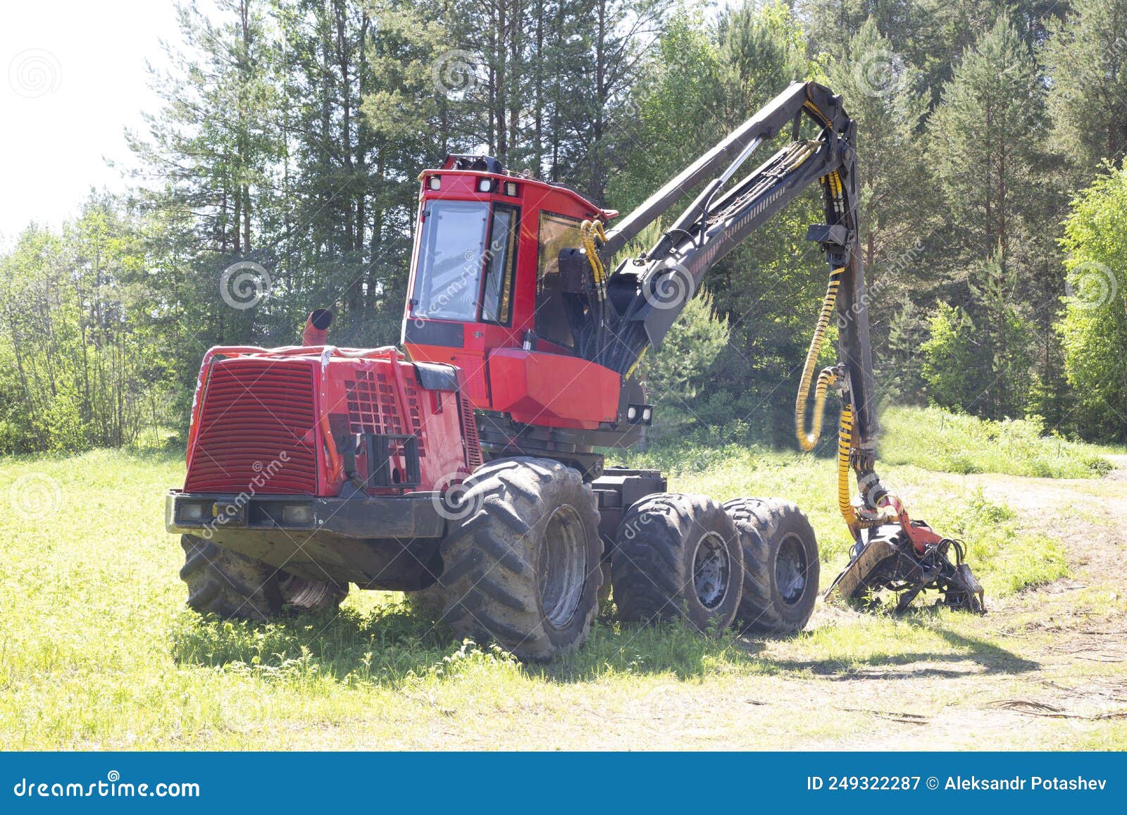 Logging Equipment.Harvester and Forwarder at the Logging Site Stock ...