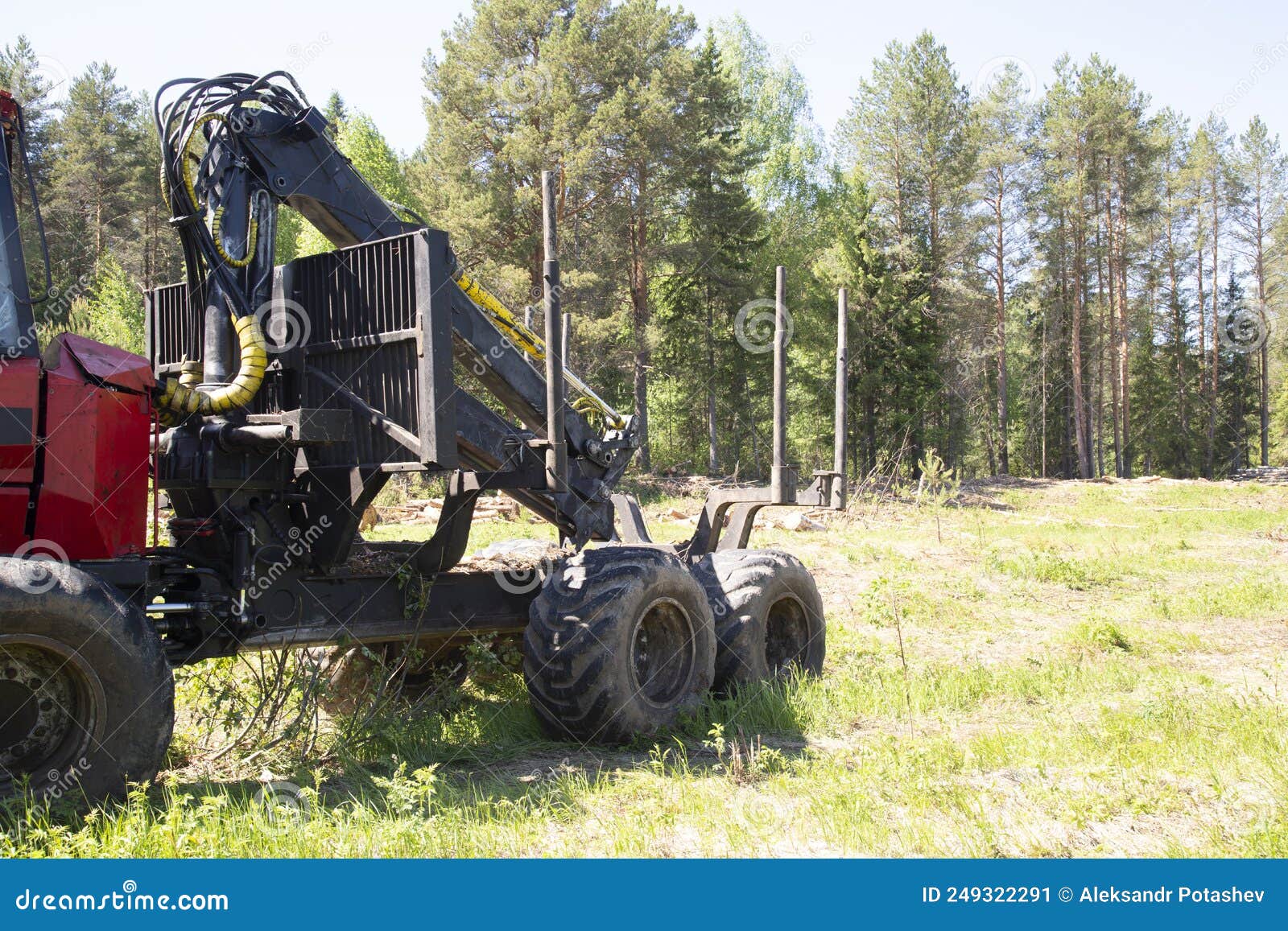 Logging Equipment.Harvester and Forwarder at the Logging Site Stock ...