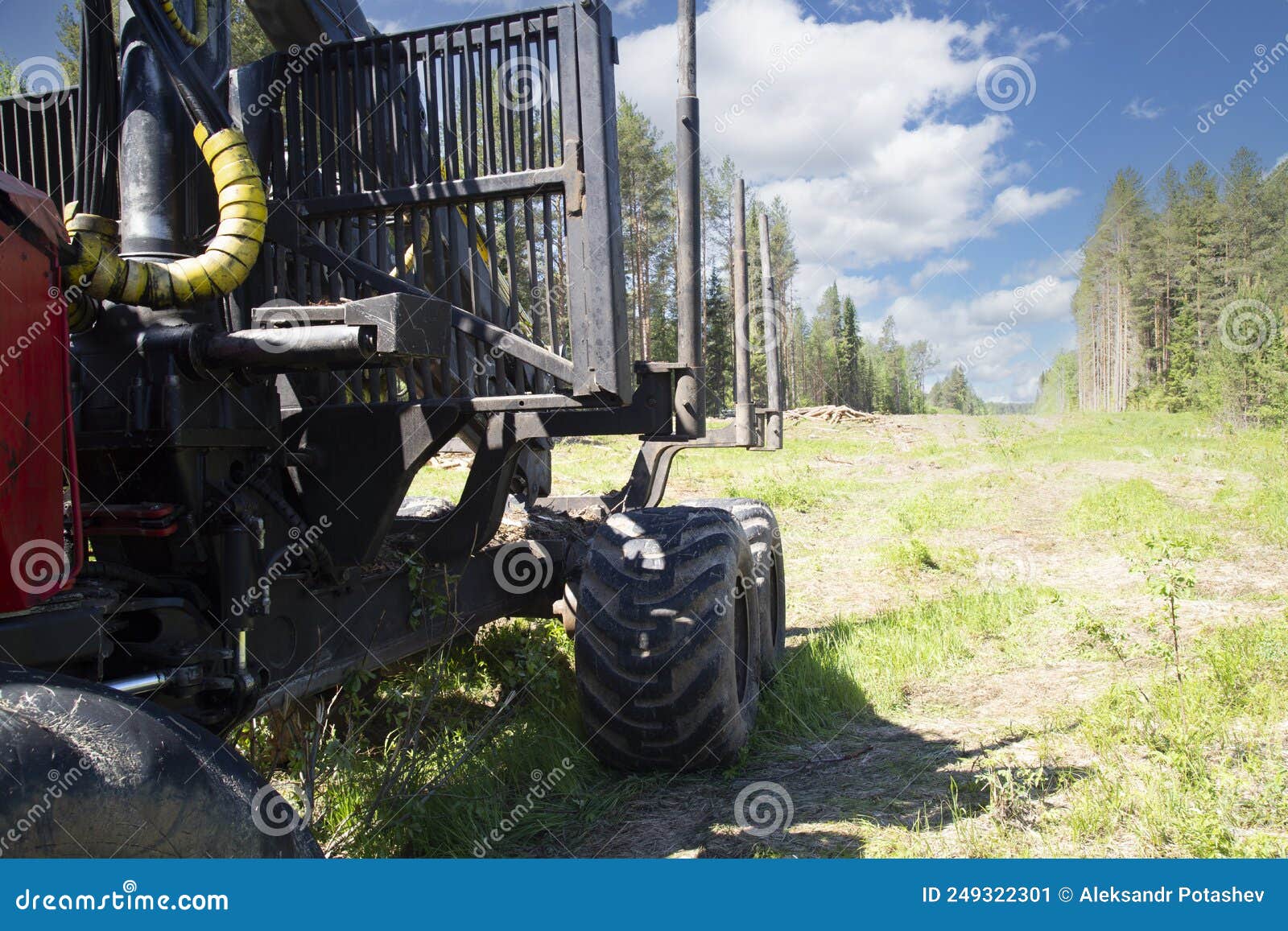 Logging Equipment.Harvester and Forwarder at the Logging Site Stock ...