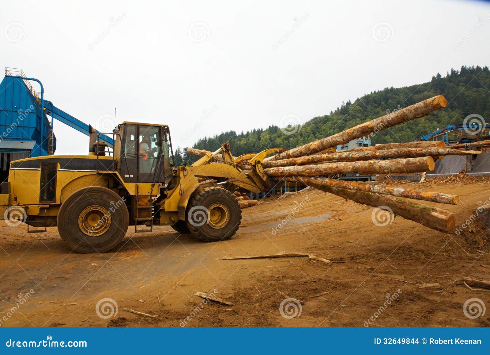 Logging stock photo. Image of loading, trees, brown, lorry - 32649844