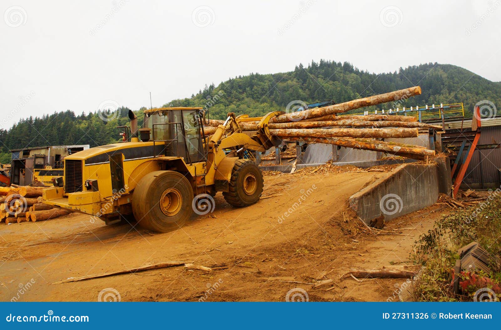 Logging Forklift Loading stock photo. Image of industry - 27311326