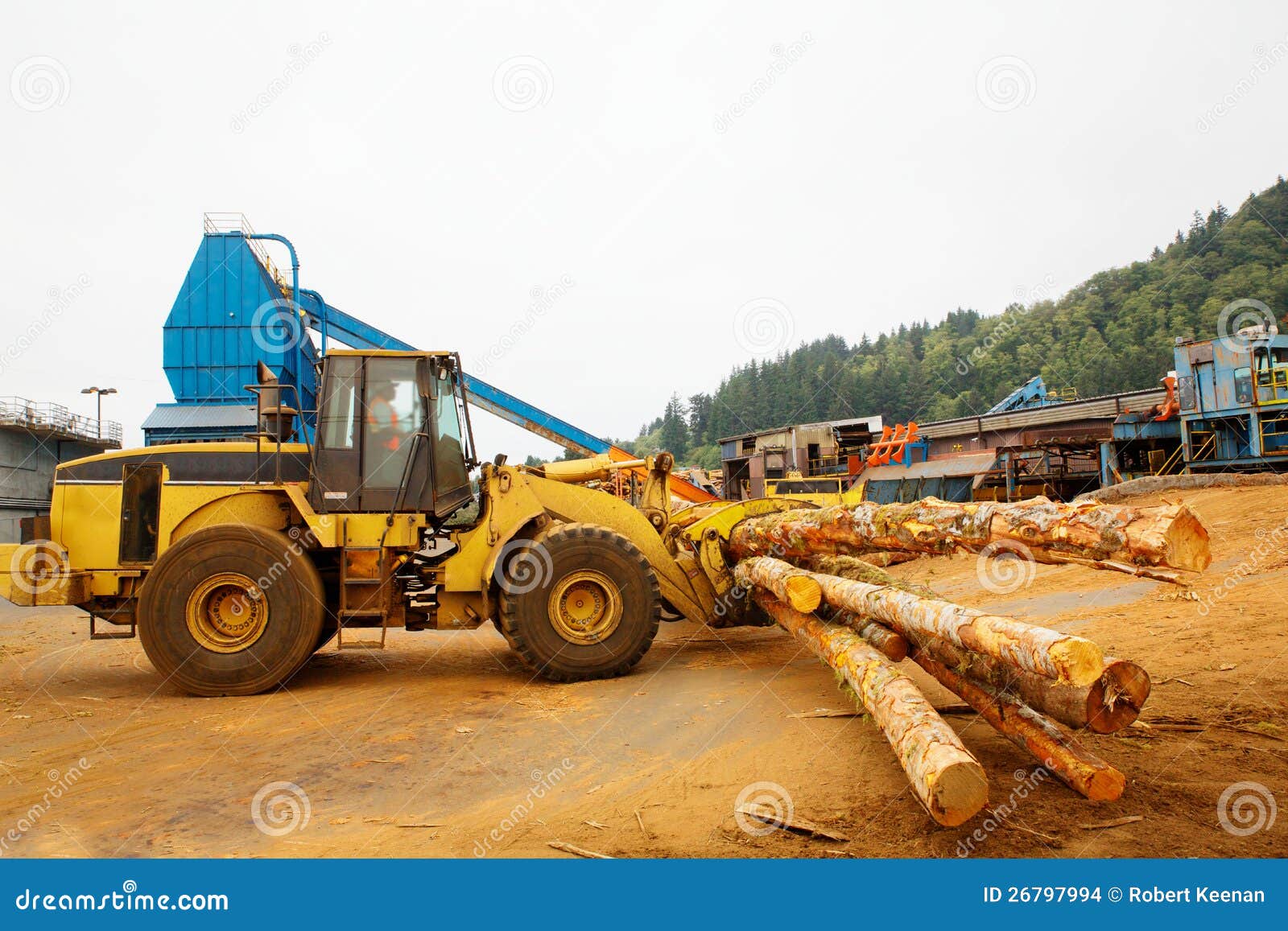 Logging Forklift at Mill stock photo. Image of industrial - 26797994