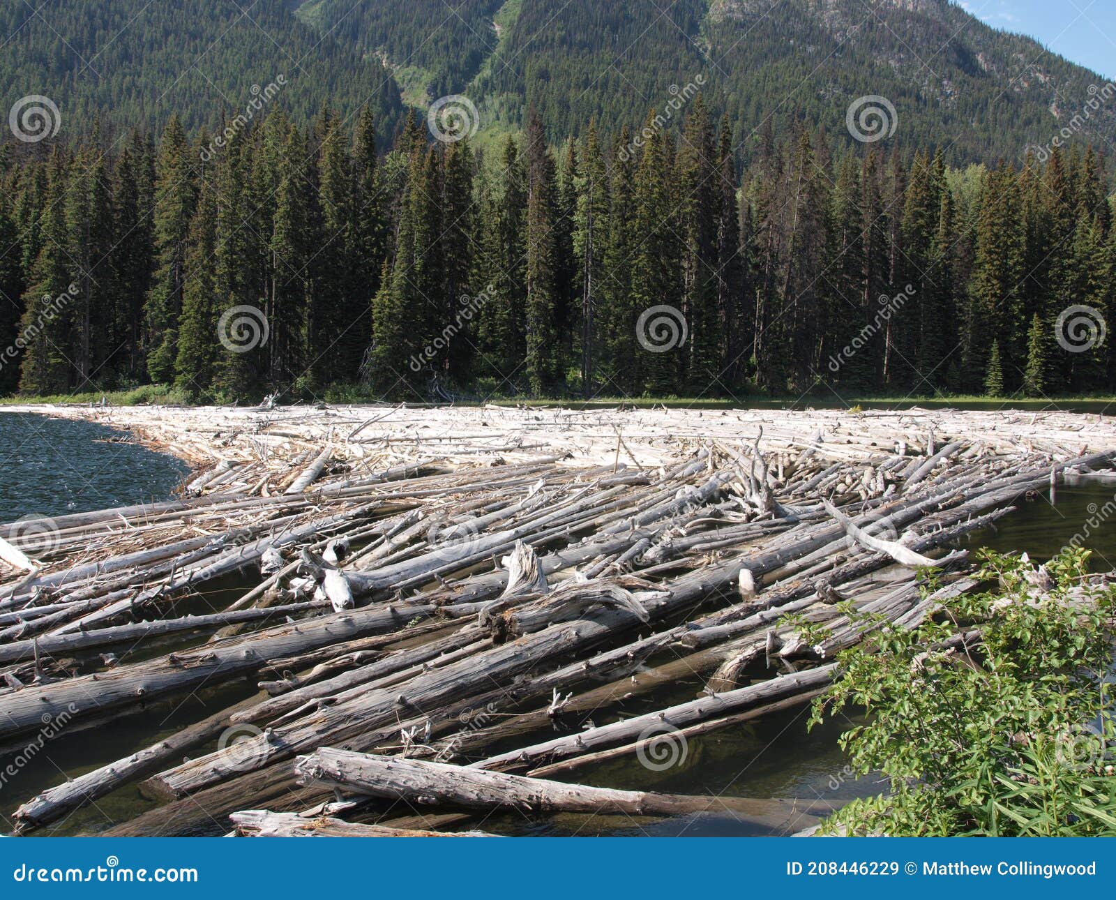 Logging Industry Picture on Fraser River British Columbis Canada Stock ...
