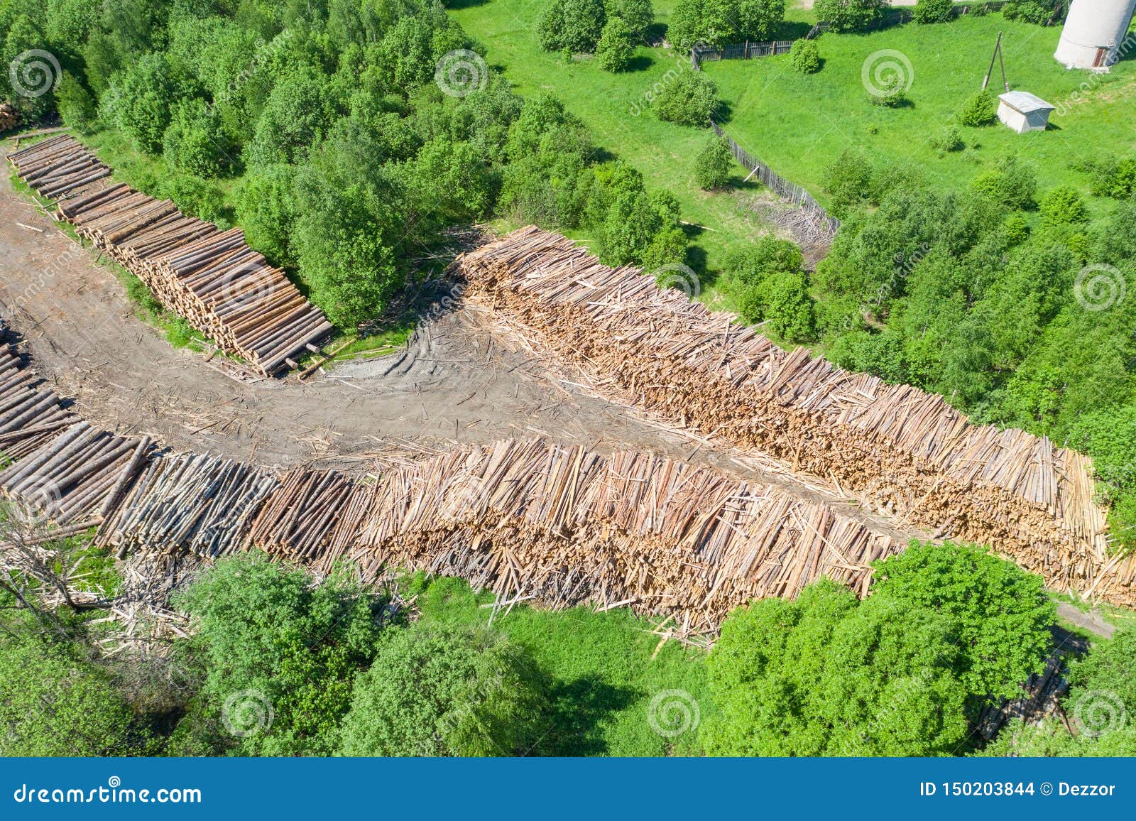 Logging, Log Cabin Trunks of Conifers, Top Aerial View Stock Photo ...