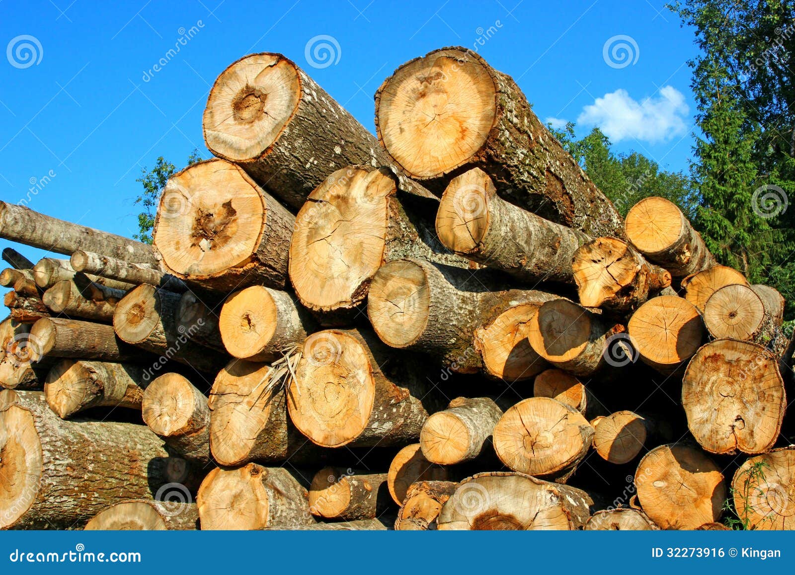 Logging stock photo. Image of sawmill, wood, forest, logging - 32273916