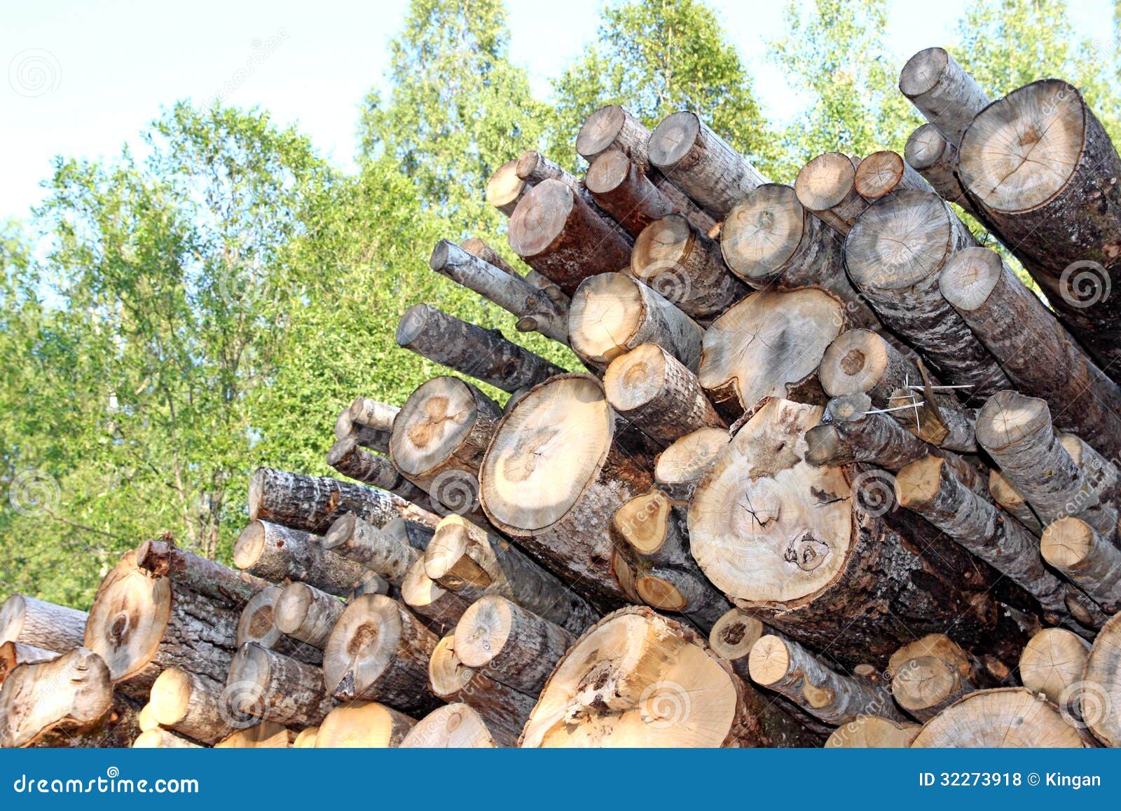 Logging stock photo. Image of stump, logs, forest, processing - 32273918