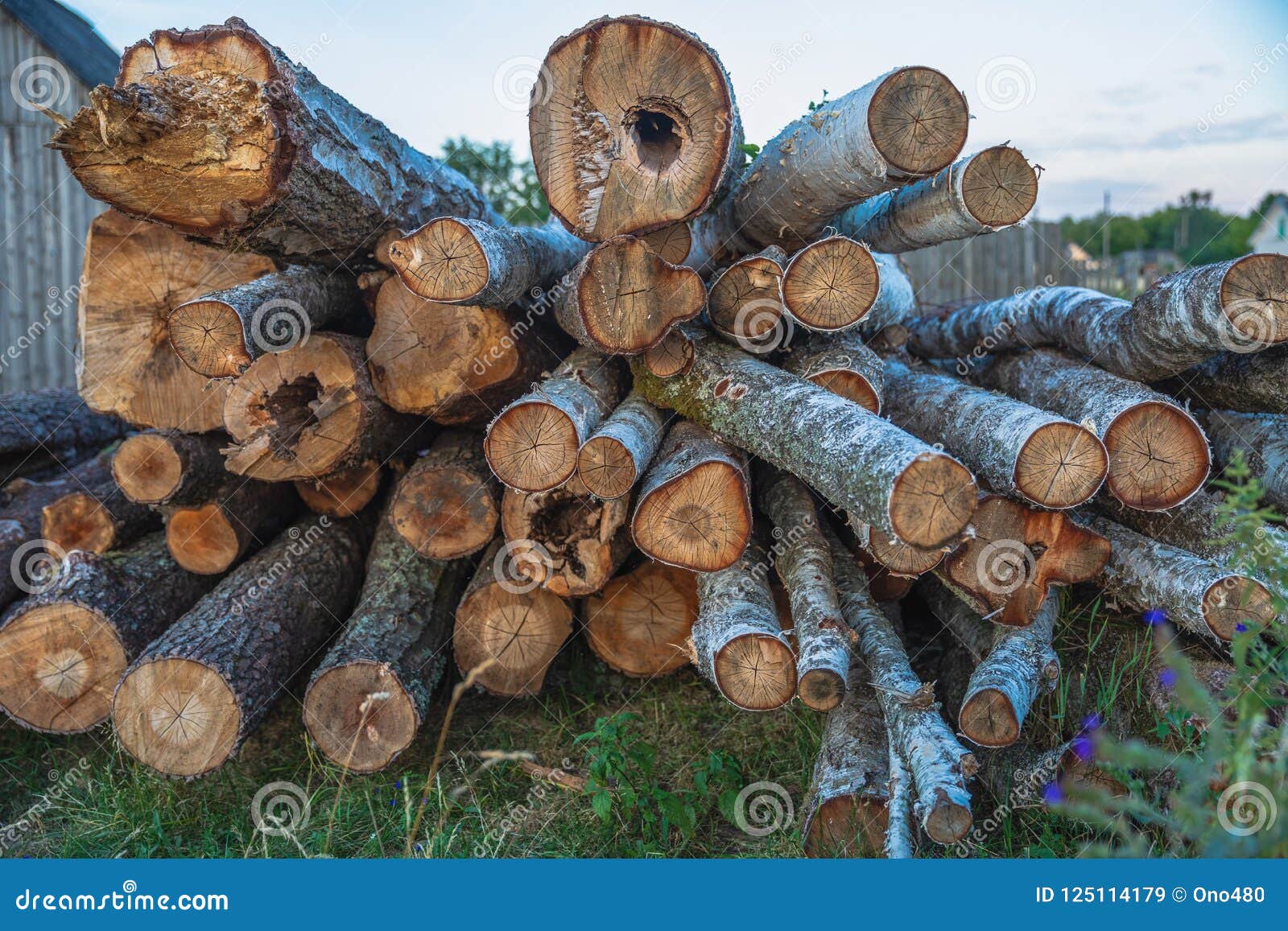 Logs logging wood stock image. Image of fuel, environment - 125114179