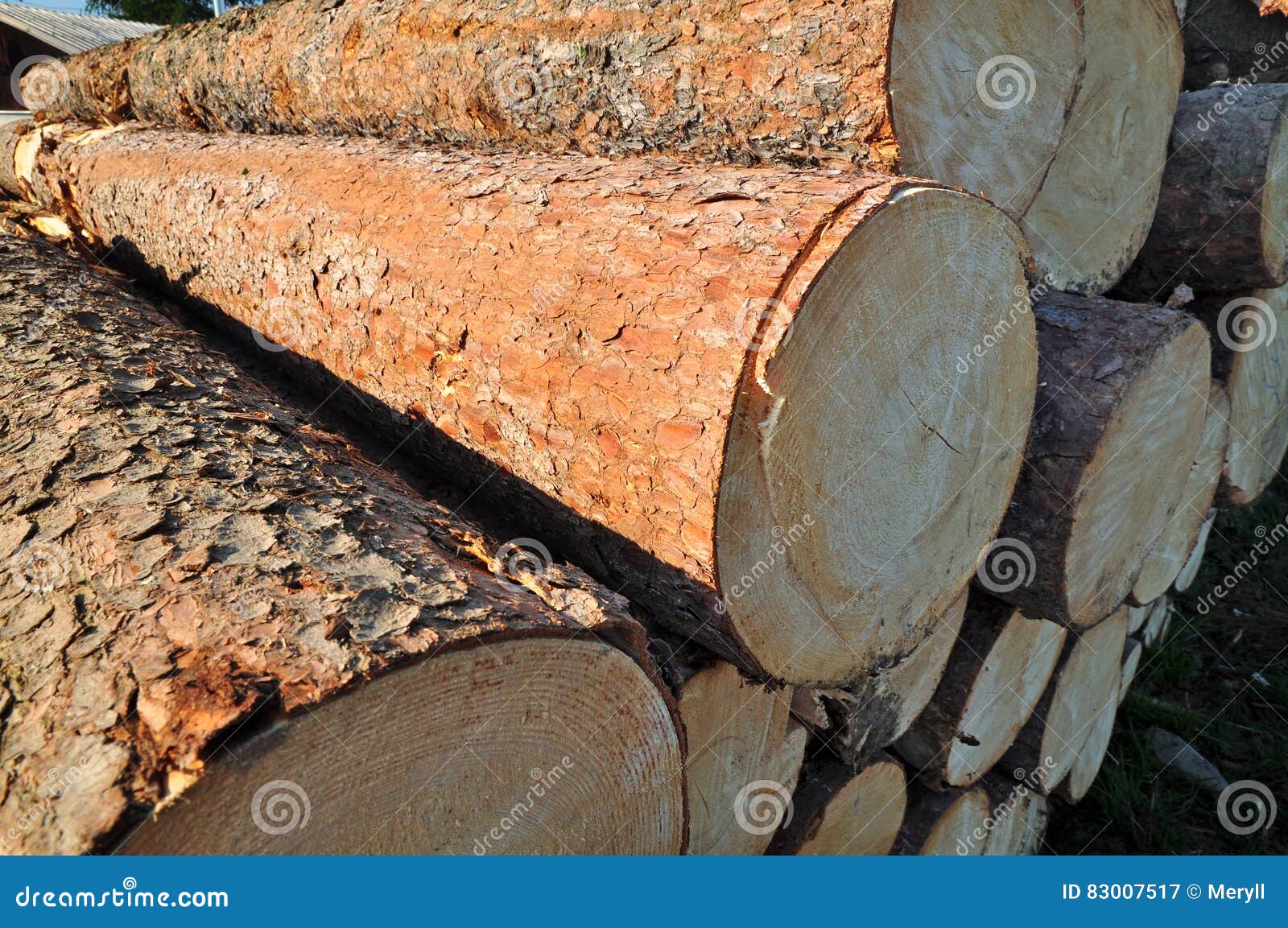 Logging logs stock image. Image of cuted, logs, timber - 83007517