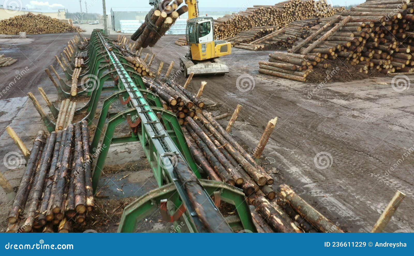 A Logging Machine Transports Logs To a Stack. Loader of Logs at the ...