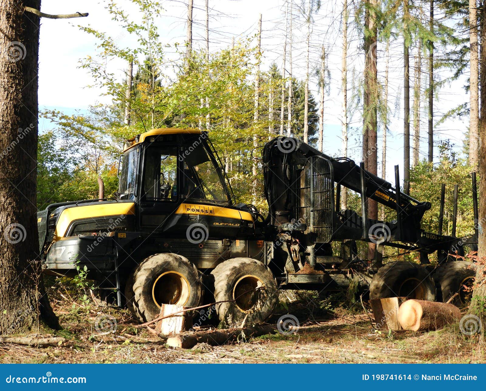 Logging Machinery in the Field for Harvesting Trees Stock Photo - Image ...
