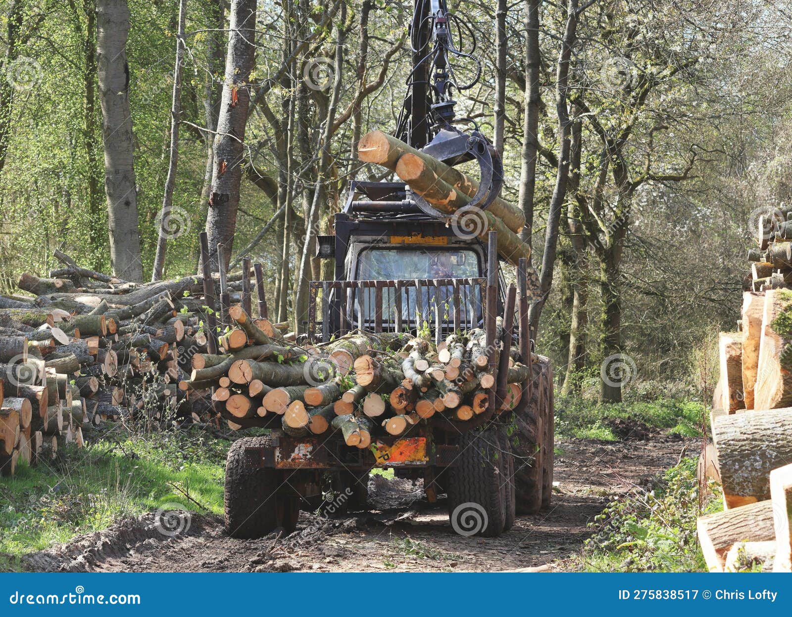 Logging machinery at work stock image. Image of employment - 275838517
