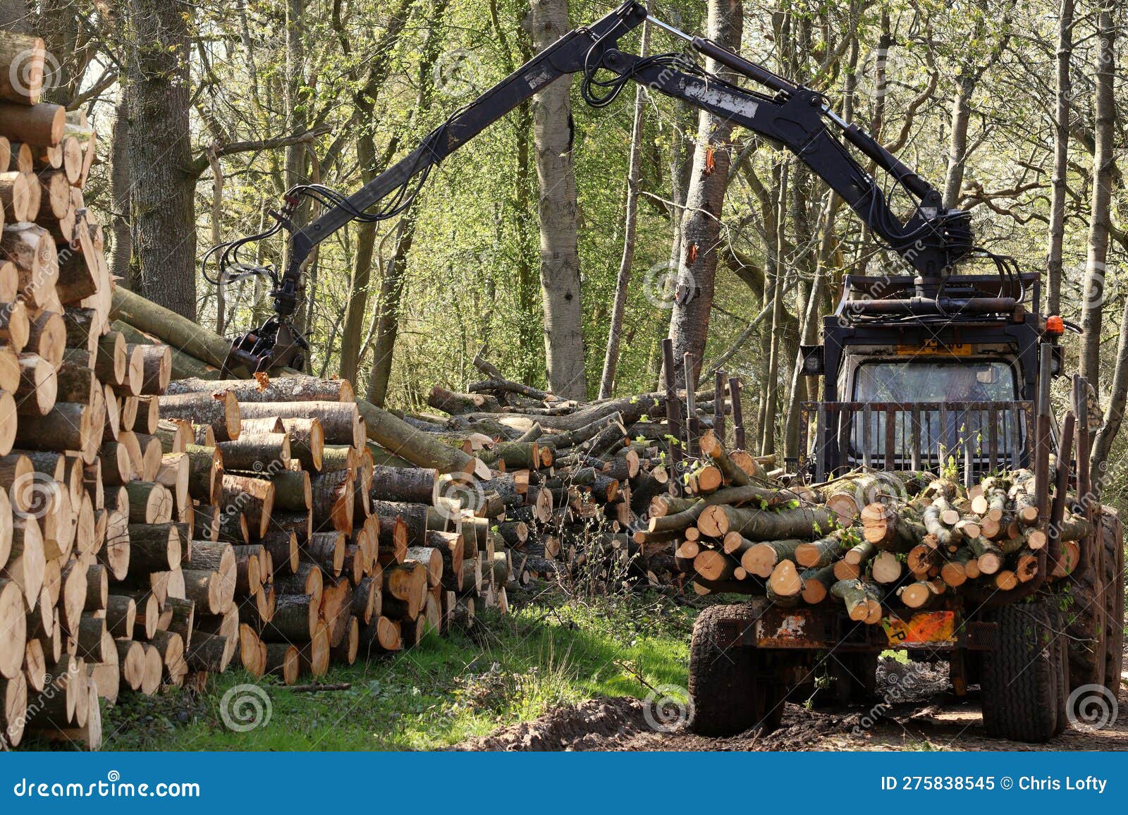 Logging machinery at work stock image. Image of machine - 275838545